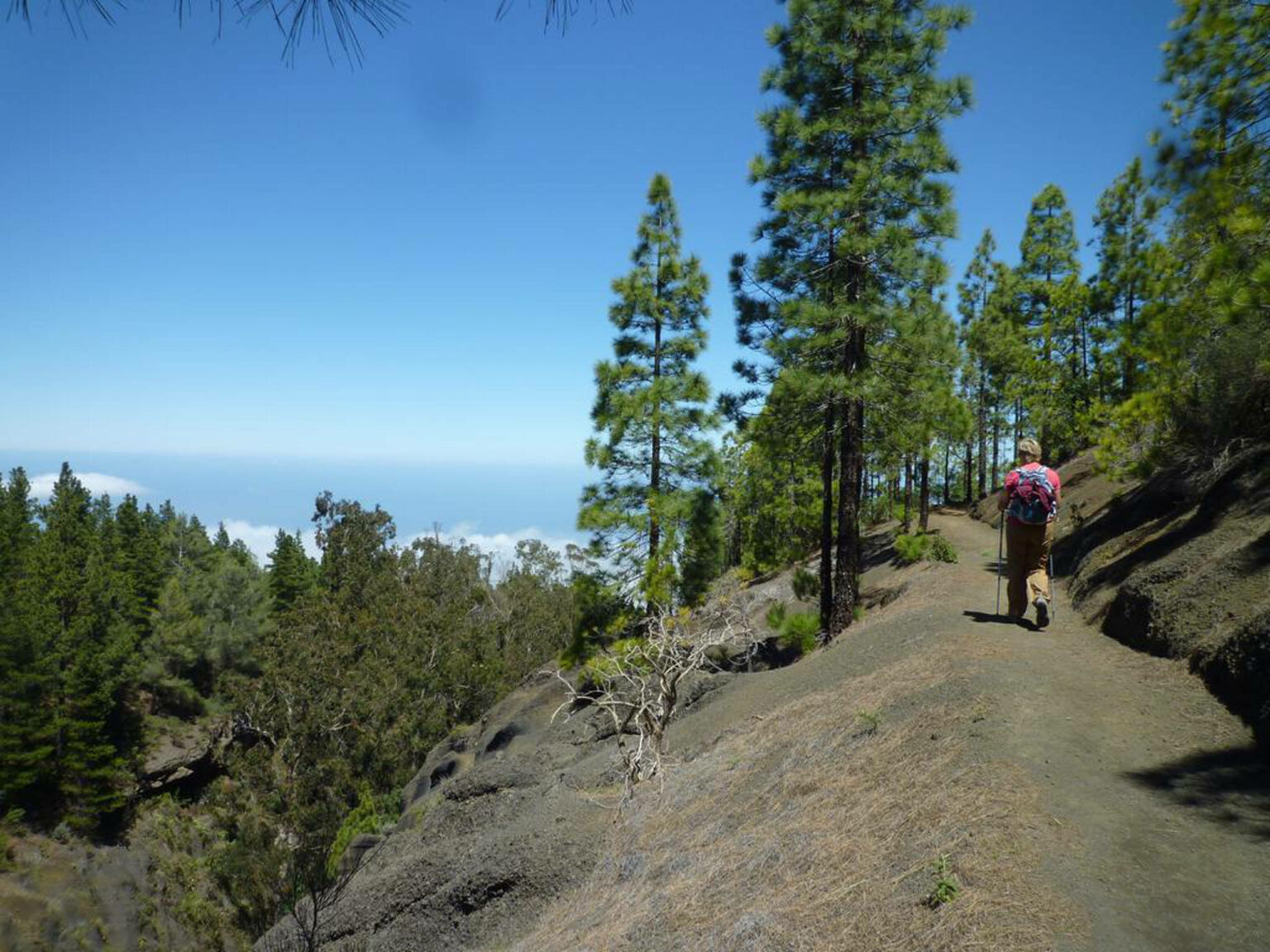 OROTAVA-TAL - Los Órganos | Wandern mit der Wanderjule Teneriffa